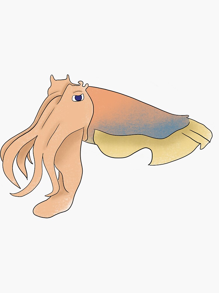 "Cuttlefish" Sticker for Sale by featherduster | Redbubble