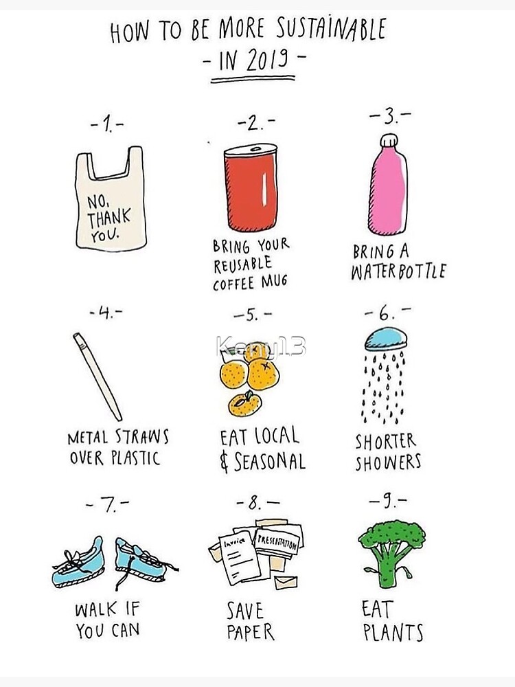 "How to be more sustainable in 2019" Poster for Sale by Keny13 | Redbubble