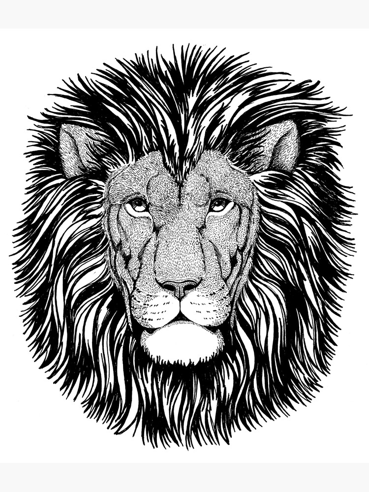 "AFRICAN LION DRAWING" Poster by ReignGFX | Redbubble