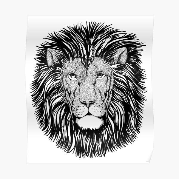 "AFRICAN LION DRAWING" Poster by ReignGFX | Redbubble