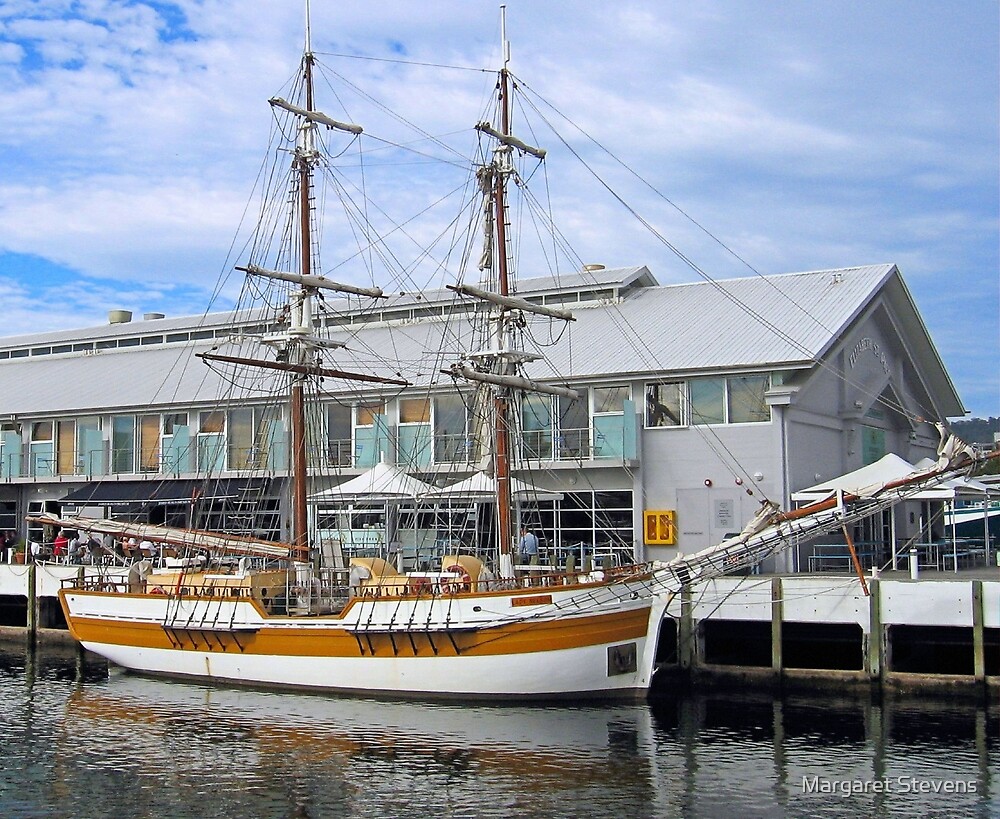 "Lady Nelson" by Margaret Stevens | Redbubble