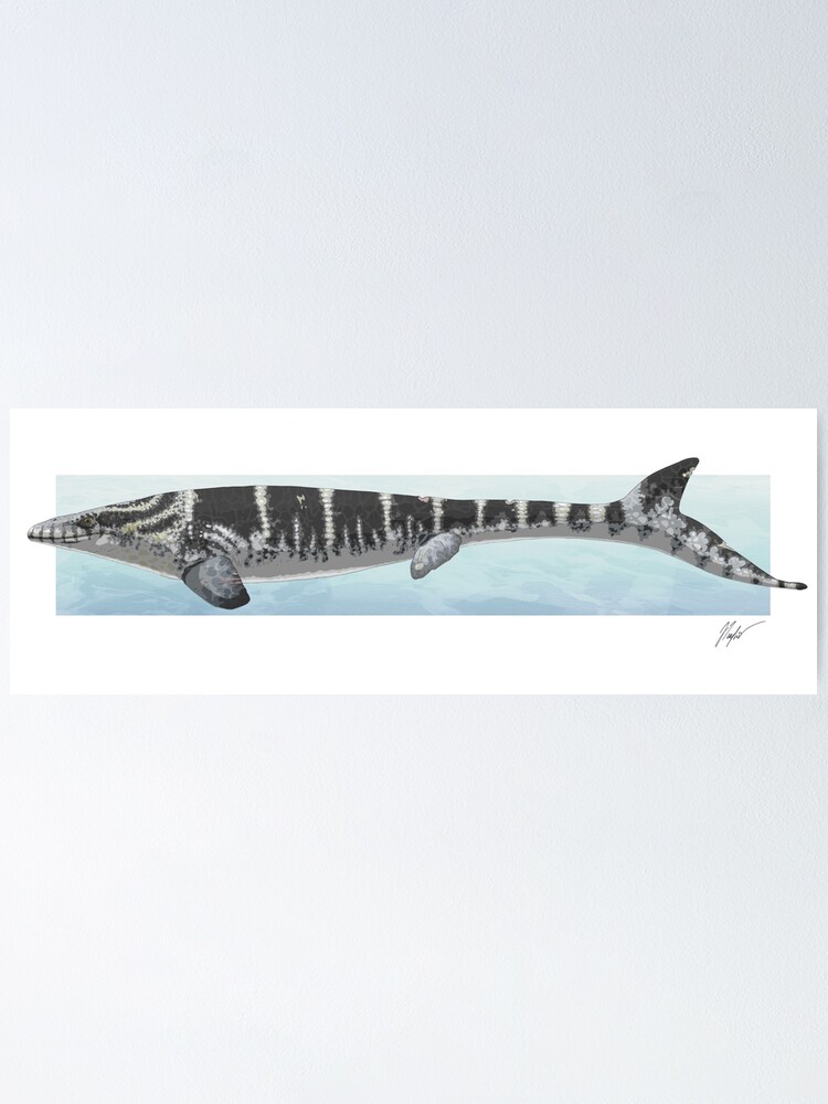"Mosasaur (Background)" Poster for Sale by JedTaylor | Redbubble