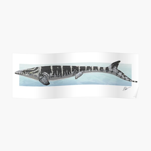 "Mosasaur (Background)" Poster for Sale by JedTaylor | Redbubble