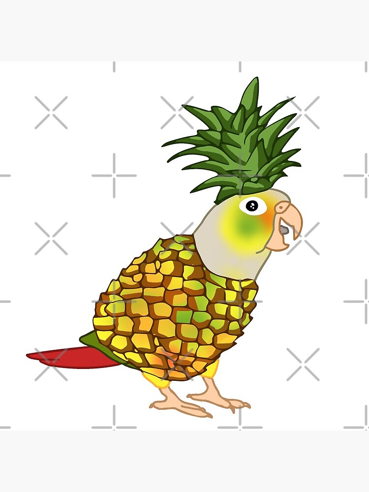 "funny Green Cheeked Pineapple Conure doodle" Canvas Print by ...