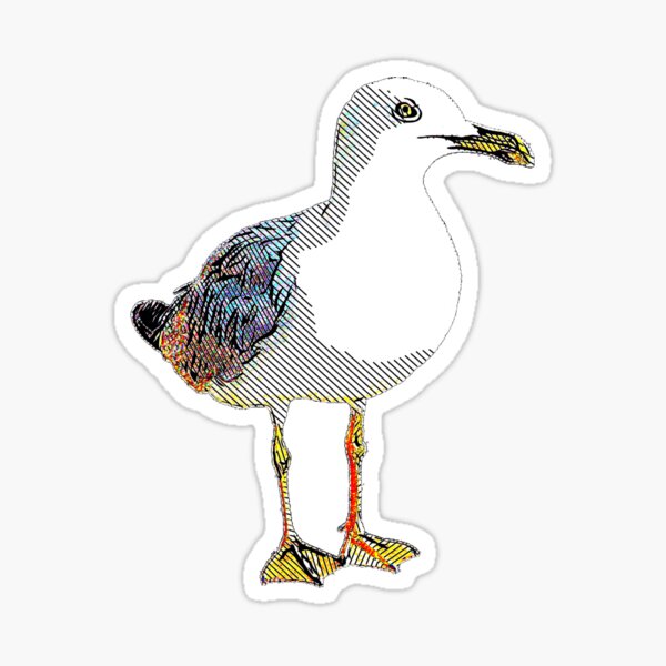 "Seagull" Sticker for Sale by Tomandyanni2010 | Redbubble