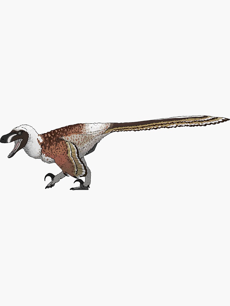 "Acheroraptor (No Background)" Sticker for Sale by JedTaylor | Redbubble