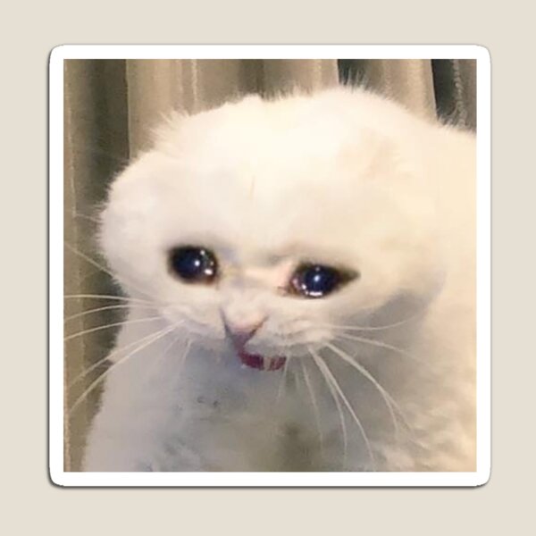 Sad Catto Gifts & Merchandise | Redbubble