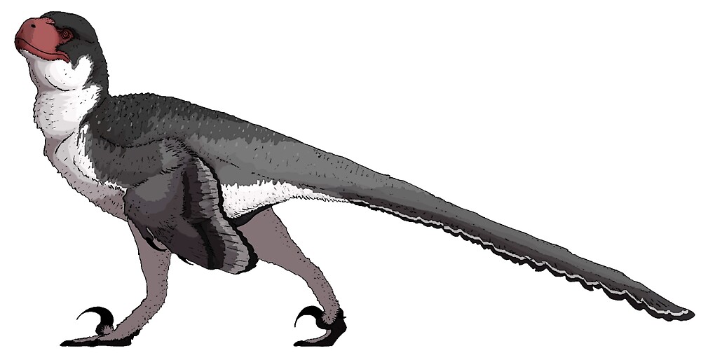"Atrociraptor (No Background)" by JedTaylor | Redbubble