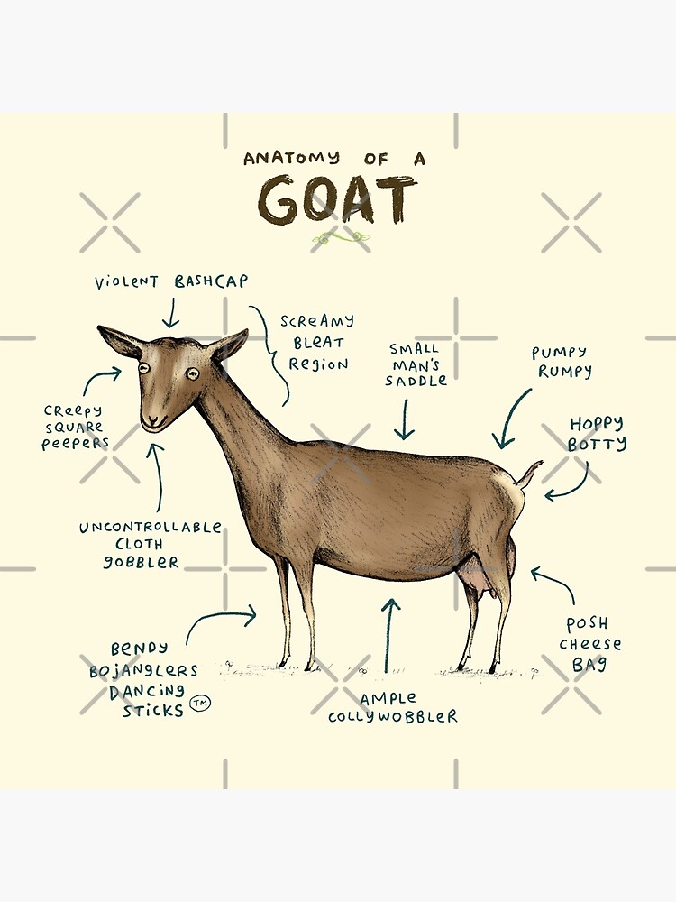 "Anatomy of a Goat" Art Print by SophieCorrigan | Redbubble