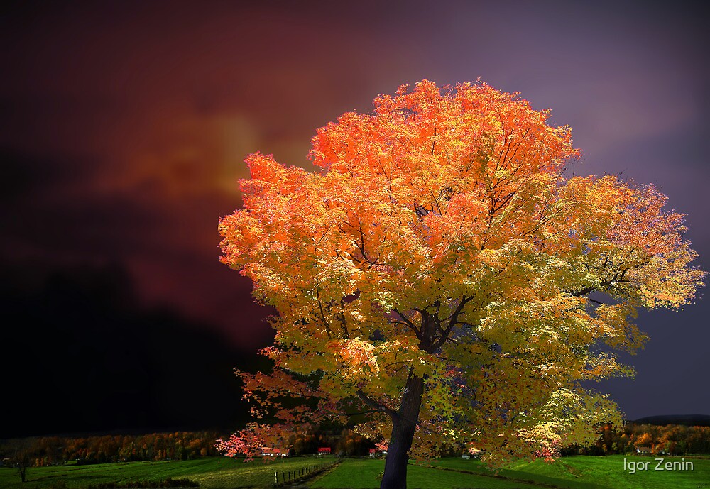 "Red October" by Igor Zenin | Redbubble