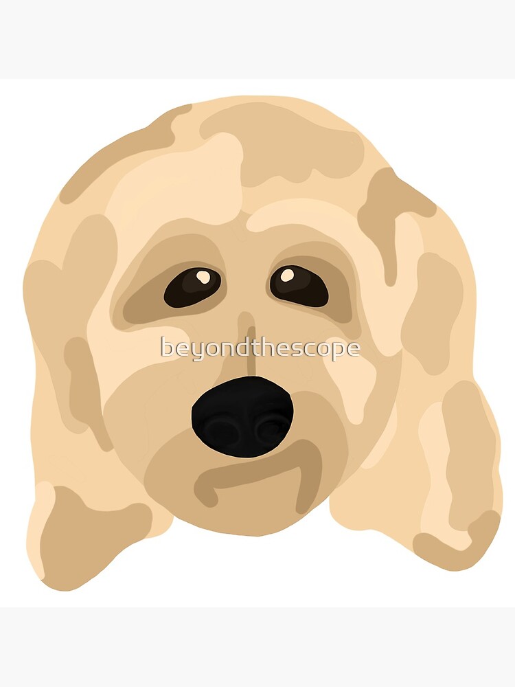 "Doofy Doodle" Poster by beyondthescope | Redbubble