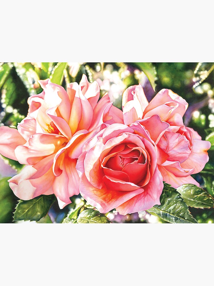 "Rose #3 watercolor painting" Sticker for Sale by Debbie Friis-Pettitt ...