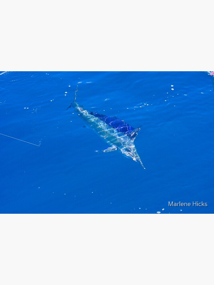 "Black Marlin" Poster by marlene-hicks | Redbubble