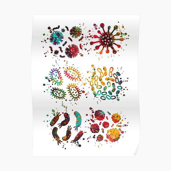 "Bacteria" Poster for Sale by erzebetth | Redbubble
