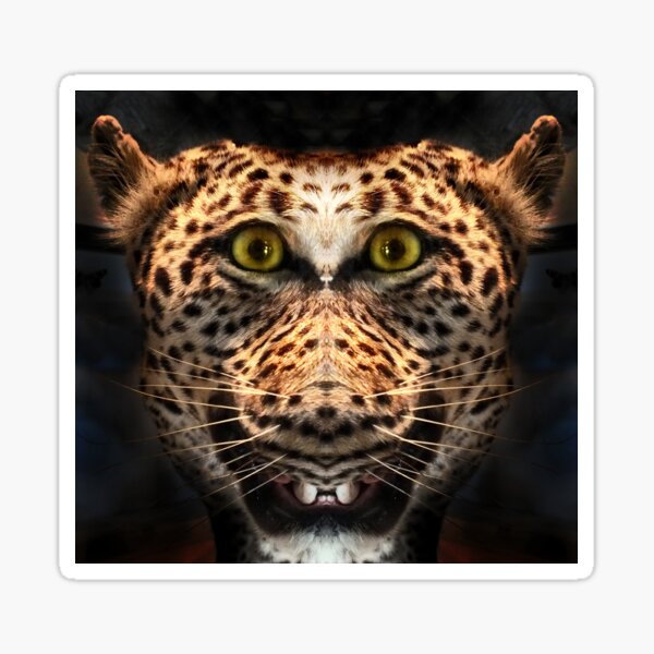 "Cyril goes crazy" Sticker for Sale by Yampimon | Redbubble