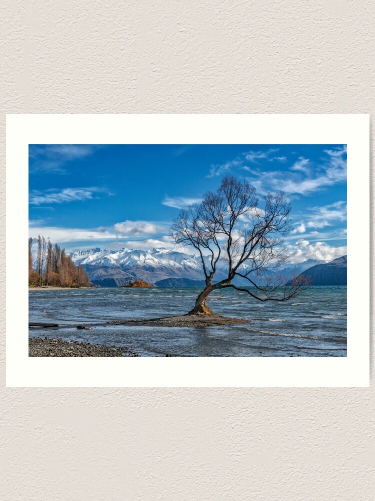 "Lake Wanaka Tree" Art Print for Sale by charlesk | Redbubble