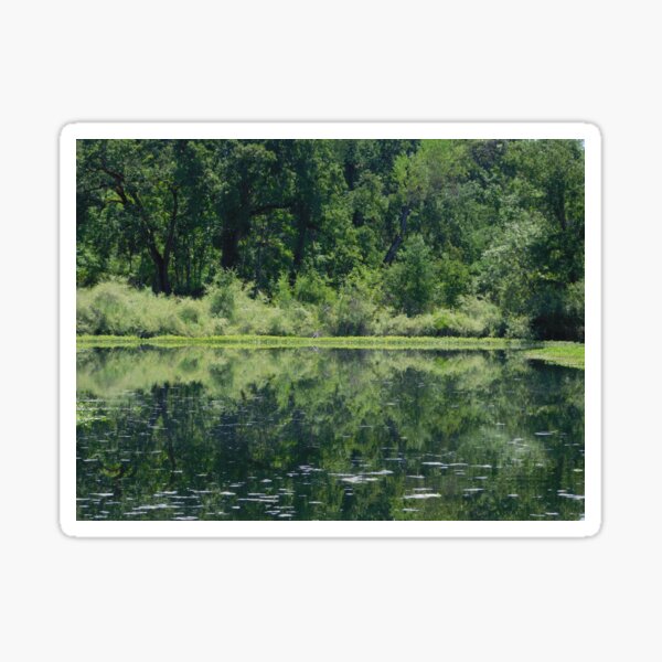 "the Pond" Sticker for Sale by Zarabeaver | Redbubble