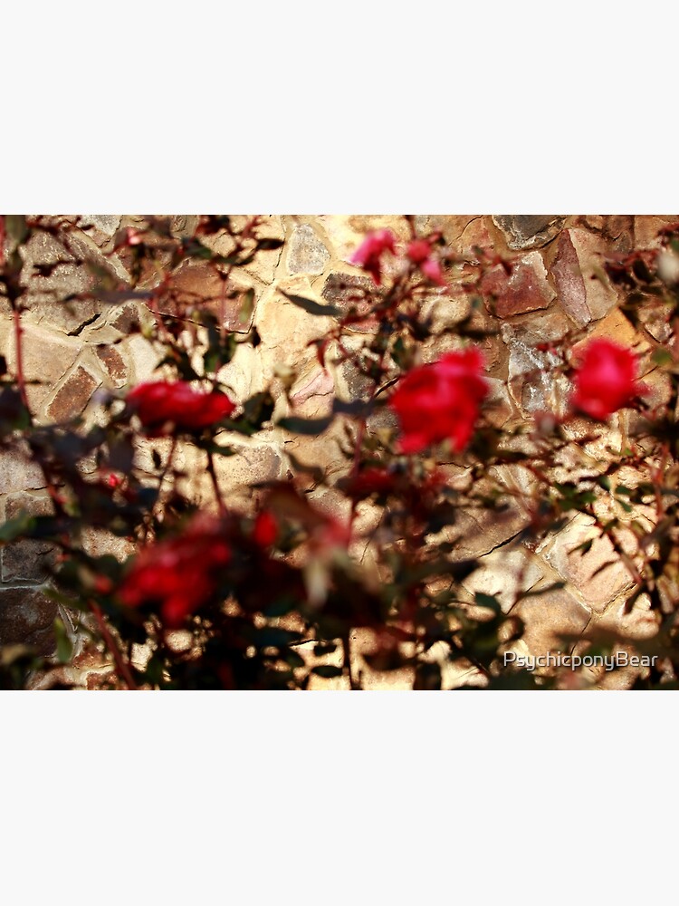 "Rosetta Stone" Art Print for Sale by PsychicponyBear | Redbubble