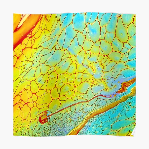 "Rainbow Cells" Poster by MGStrack | Redbubble