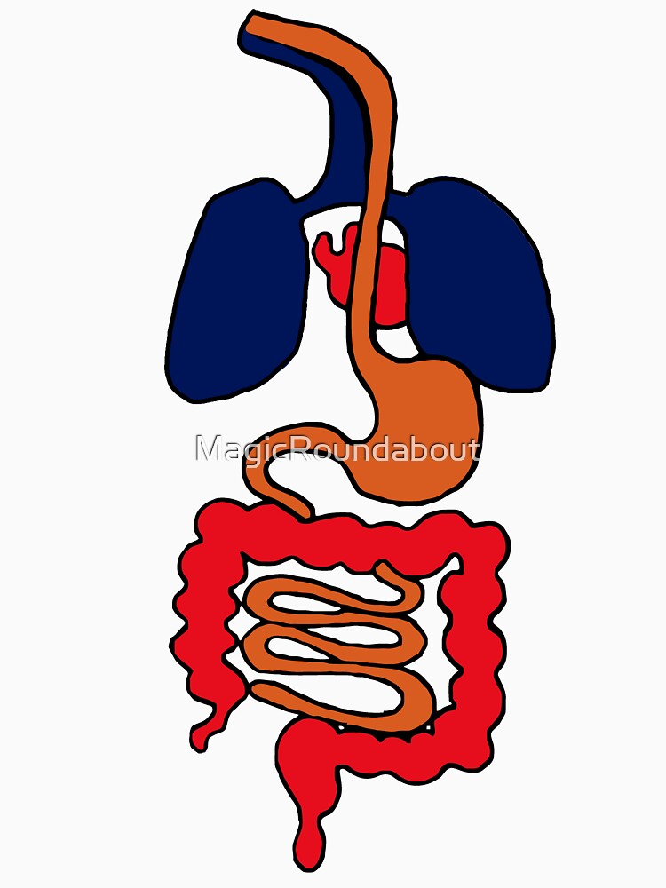 "Funny digestive system. Cartoon version" T-shirt for Sale by ...