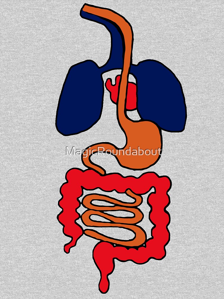 Digestive System Humor