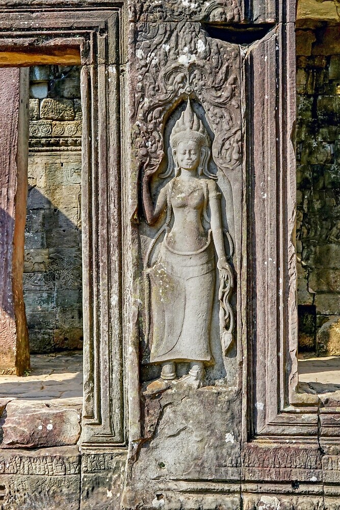 "Timeless Beauty" by Harry Oldmeadow | Redbubble
