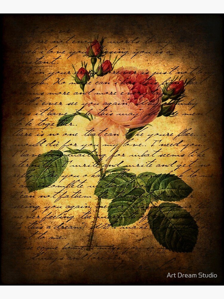 "Botanical print, on old book page - flowers - roses" Poster by lldd11 ...