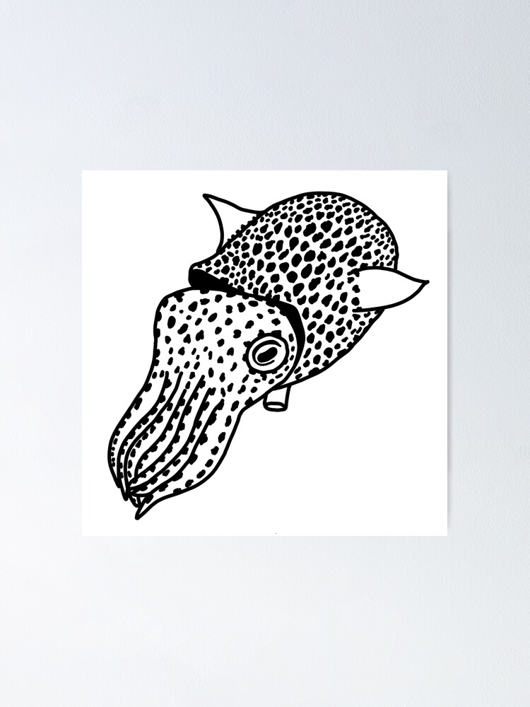 "Hawaiian Bobtail Squid" Poster for Sale by ktbelliss | Redbubble