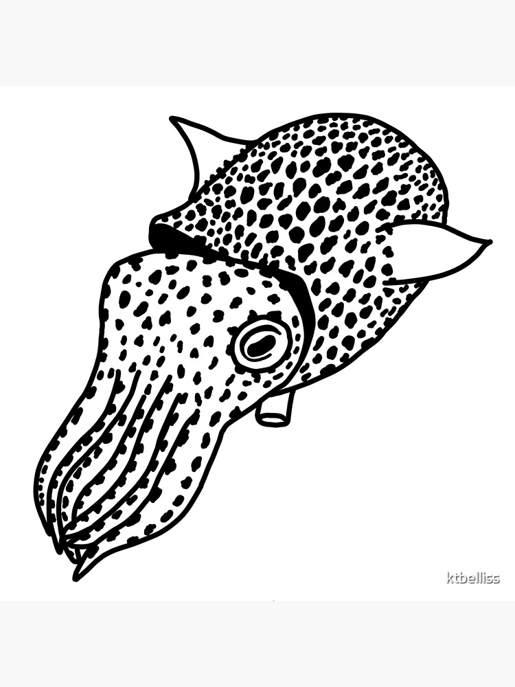 "Hawaiian Bobtail Squid" Art Board Print for Sale by ktbelliss | Redbubble