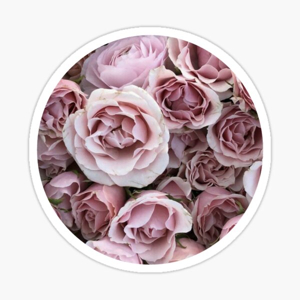 "Rosy" Sticker for Sale by michaela8 | Redbubble