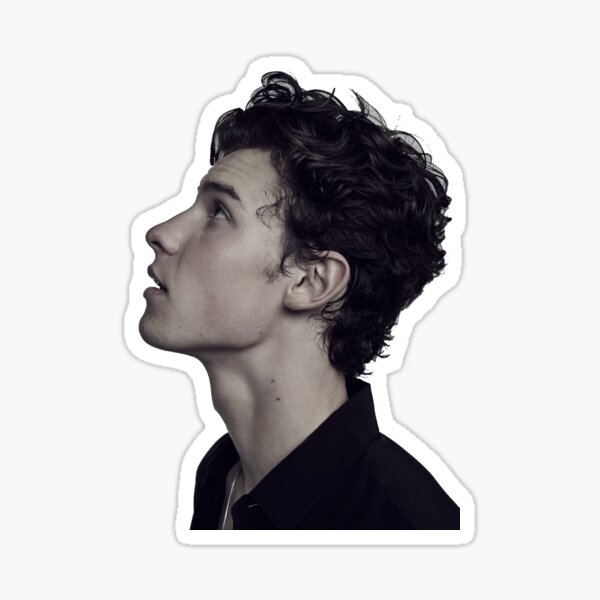 Shawn Mendes Stickers | Redbubble
