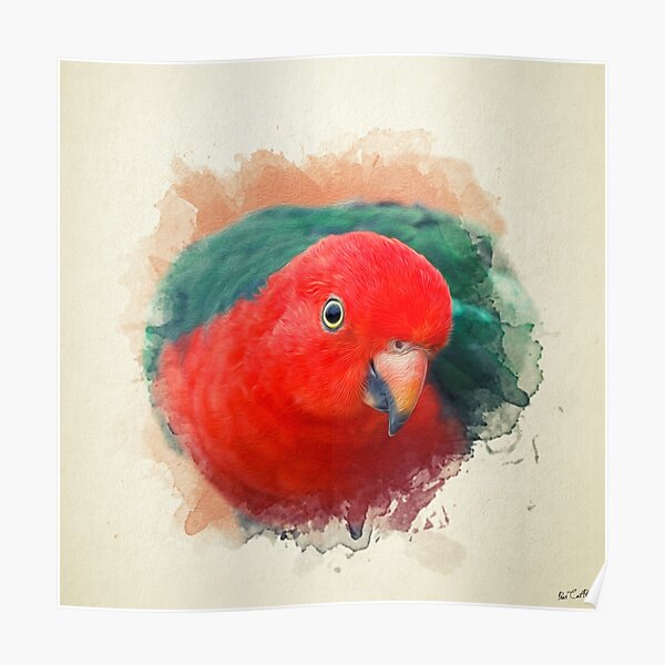 Póster «Mesa de un perico real» de Pearcatprod | Redbubble