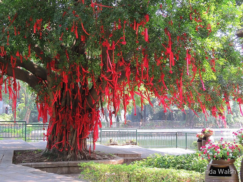 "Chinese Wishing Tree" by Linda Walsh | Redbubble