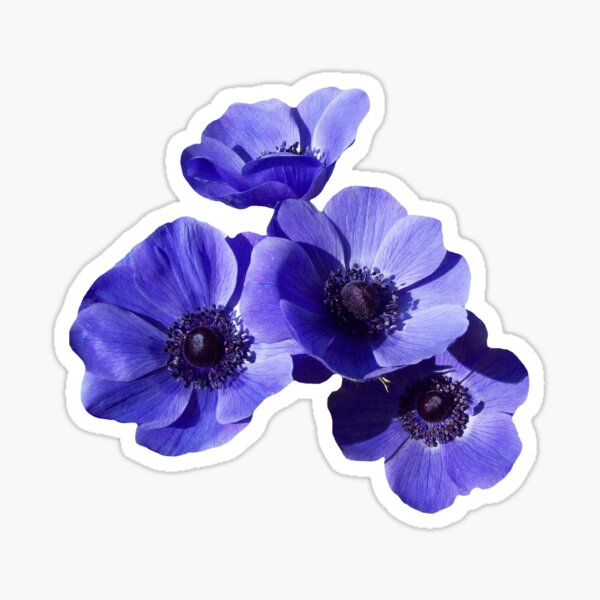 "Purple poppy" Sticker for Sale by Wmcs91 | Redbubble