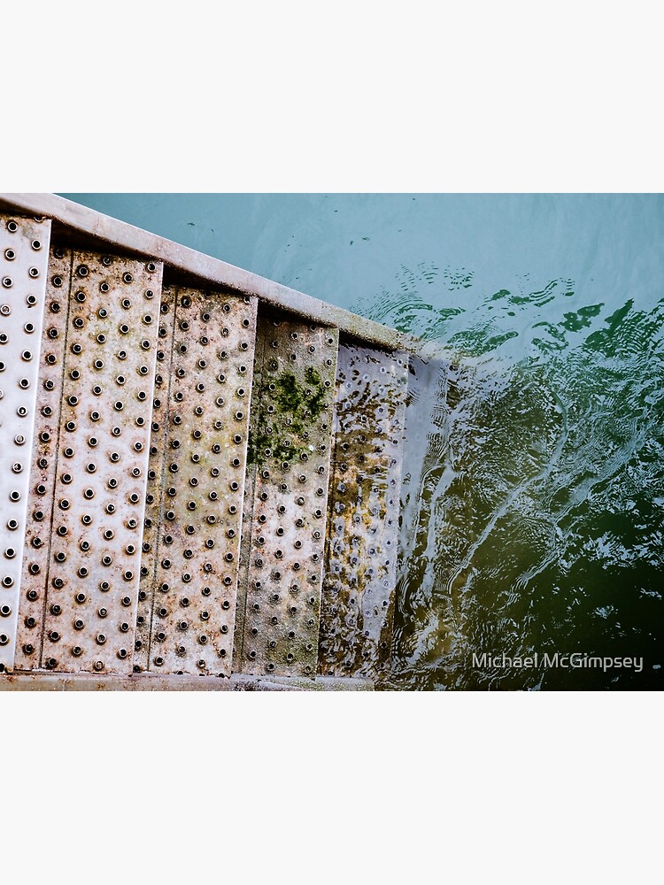 Wet Steps Into The Water Premium Matte Vertical Poster Designed & Sold ...