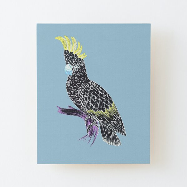 Black Cockatoo Wall Art Redbubble