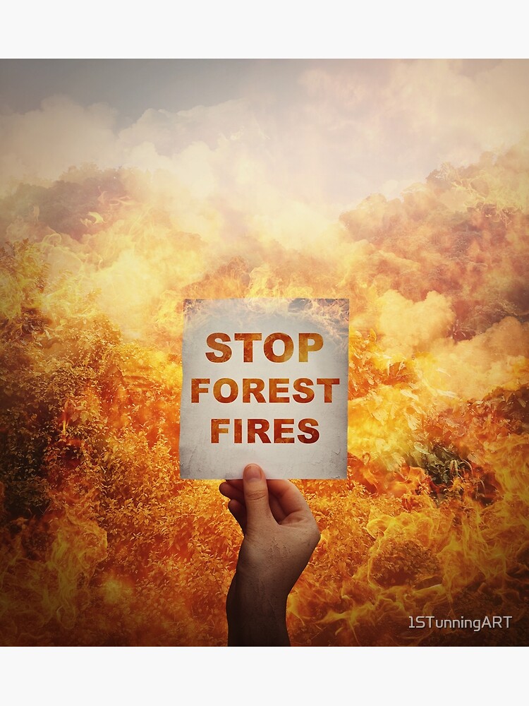 "stop forest fires" Poster for Sale by 1STunningART | Redbubble