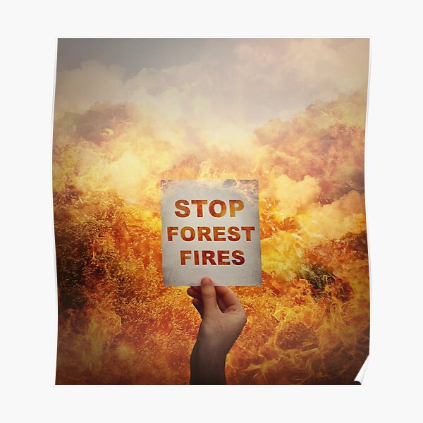 "stop forest fires" Poster for Sale by 1STunningART | Redbubble