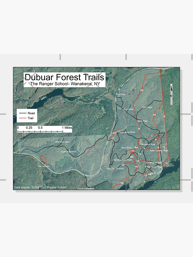 "SUNY ESF Ranger School Trail Map" Sticker for Sale by treetat | Redbubble