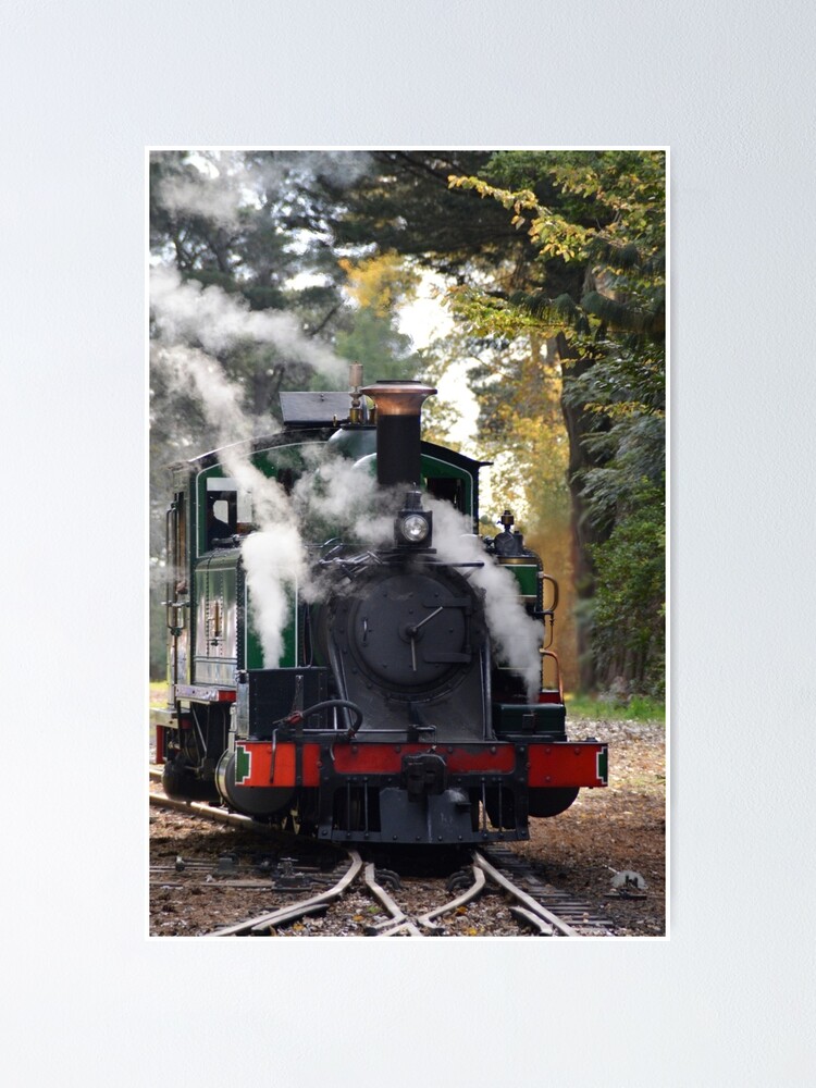 "Puffing Billy" Poster for Sale by Lola P | Redbubble