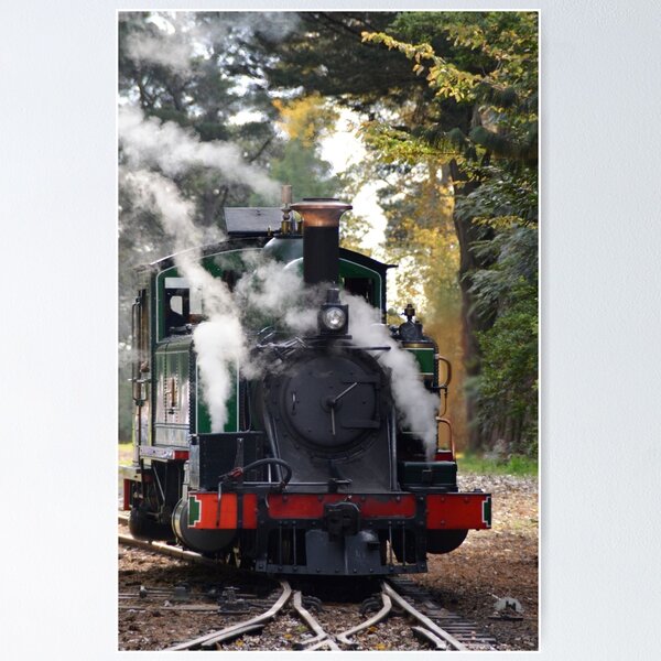 "Puffing Billy" Poster for Sale by Lola P | Redbubble
