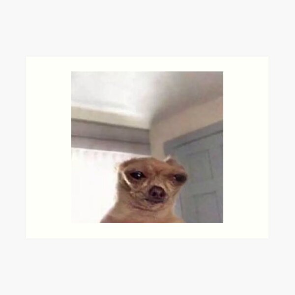 Lámina artística «Triste perro meme» de Alexeratu | Redbubble