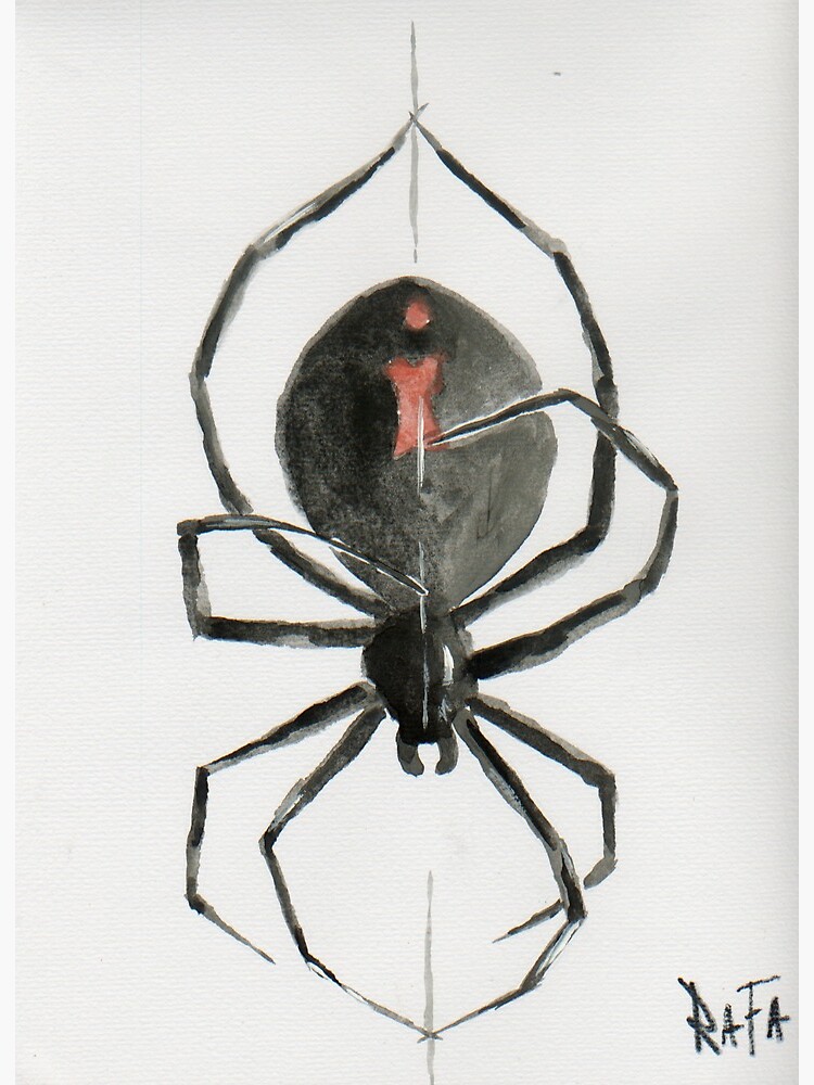 Pen & Ink Original Ink Drawing Black Widow Spider Art & Collectibles ...