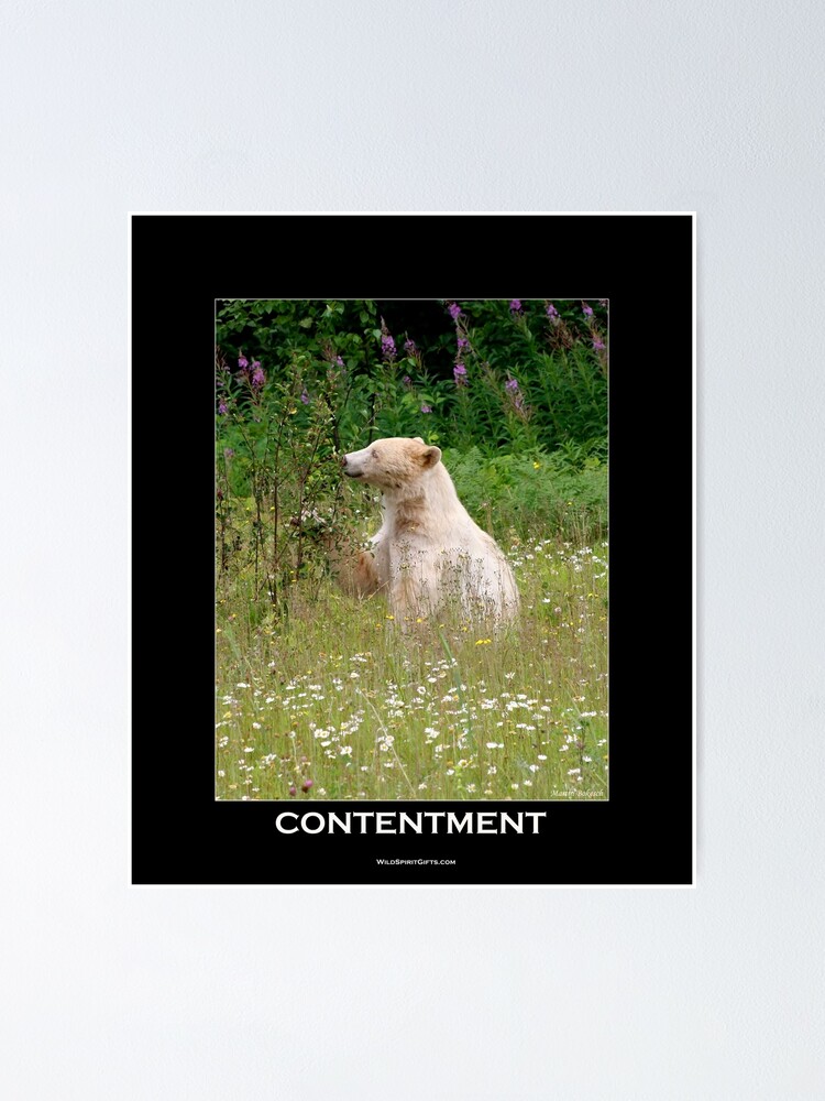 "Contentment Spirit Bear Motivational Poster" Poster by NaturePrints ...