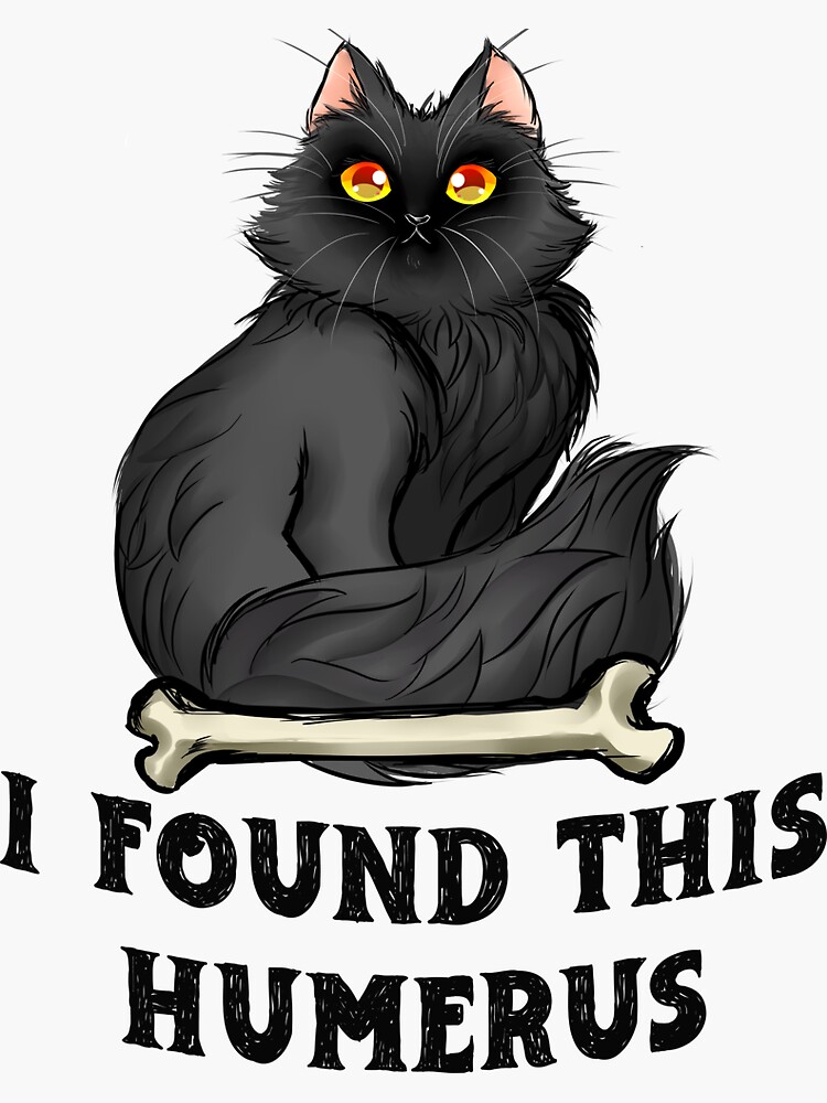 Pegatina «Encontré esta camiseta humorística de los gatos del gato ...