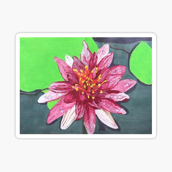 Nymphaea Gifts & Merchandise for Sale | Redbubble