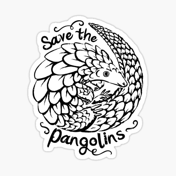 Pangolin Merch & Gifts for Sale | Redbubble