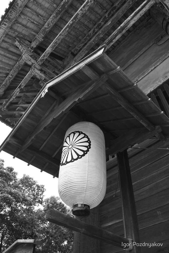 "A Lantern in Todai-ji Complex, Nara, Japan" by Igor Pozdnyakov | Redbubble