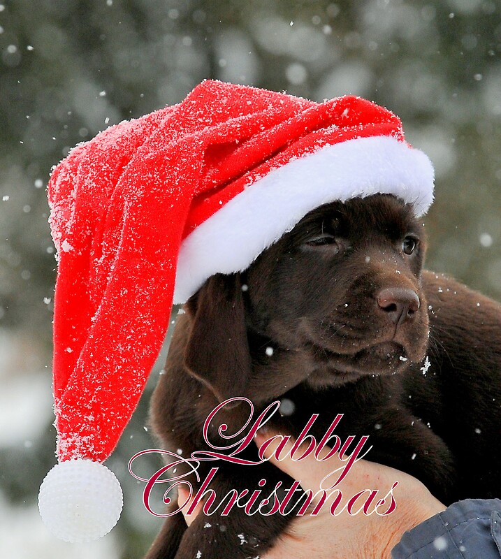 "Labby christmas" by Alan Mattison | Redbubble