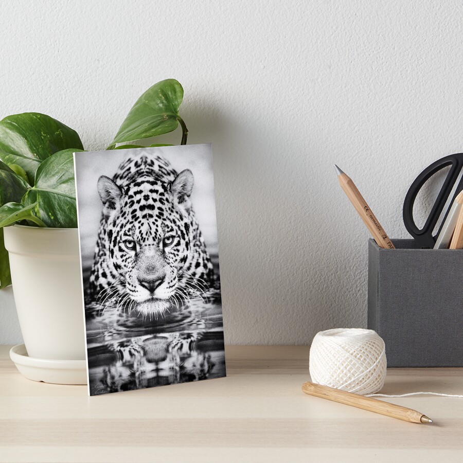 "Leopard" Art Board Print for Sale by LukeKanelov | Redbubble